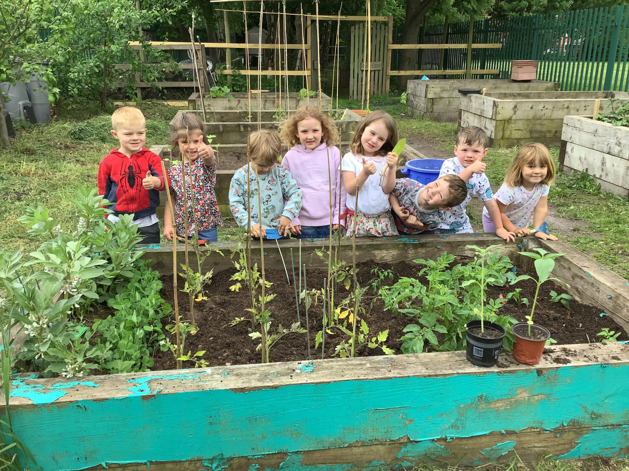 Outdoor Fun in the Forest – HETTY Preschool